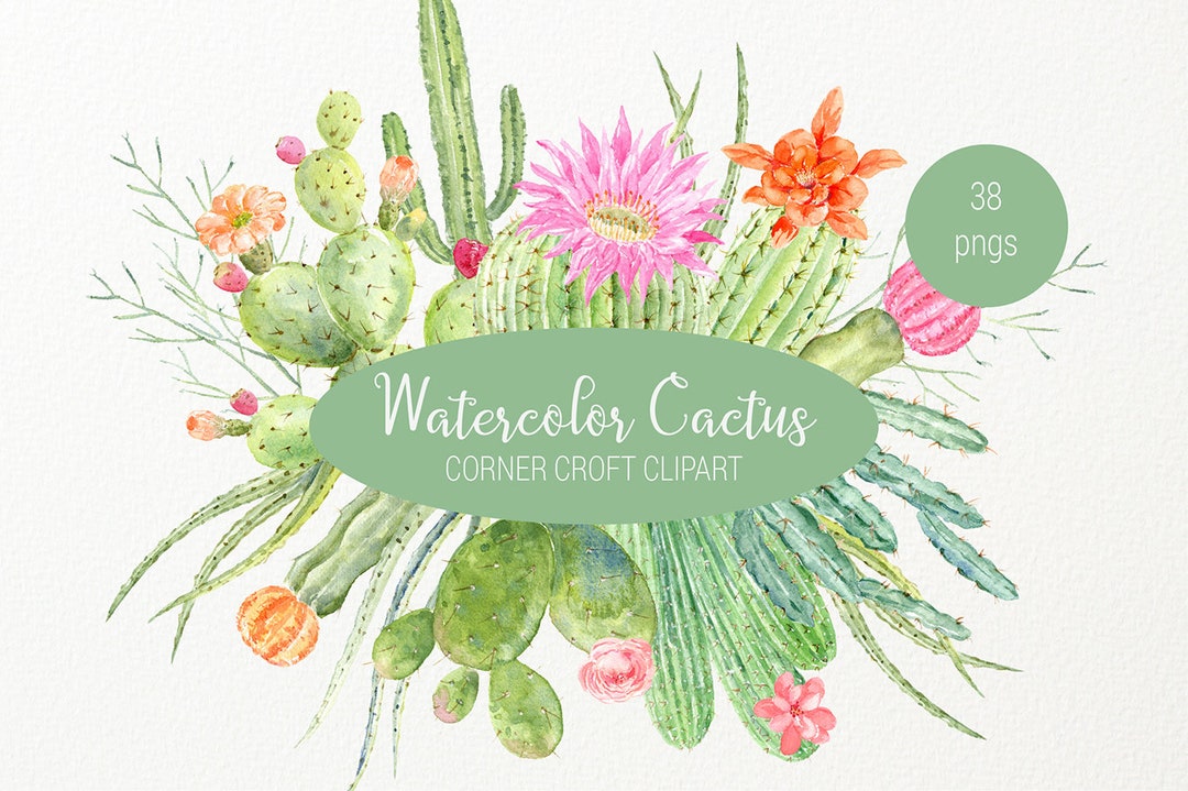 Watercolor Cactus Clipart in Botanical Illustration Style - Etsy