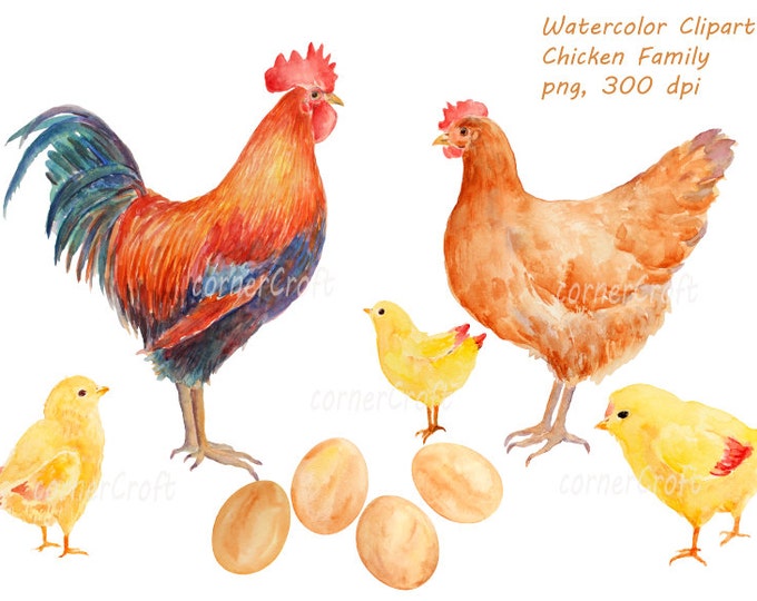Chickens Watercolor Clipart Collection - PNG - JPG - Instant Download ...