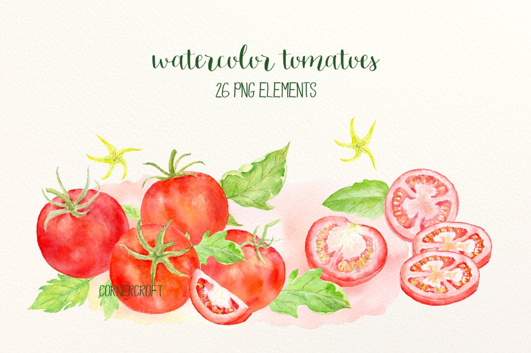 Watercolor Red Tomatoes, Red Tomatoes, Tomato Slices, Tomato Wedges ...