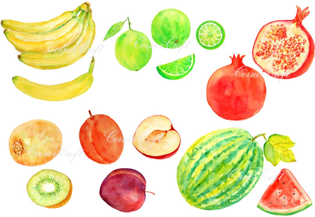 Watercolor Fruits, Banana, Water Melon, Lime, Plum, Kiwi Fruit ...