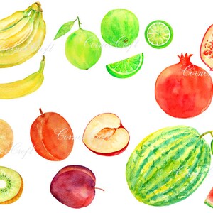 Watercolor Fruits, Banana, Water Melon, Lime, Plum, Kiwi Fruit ...