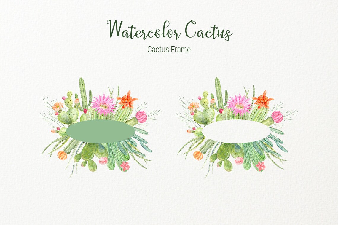 Watercolor Cactus Clipart in Botanical Illustration Style - Etsy