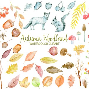 Watercolor Clipart - Autumn Woodland, Fox, Squirrel, Autumn Leaves ...