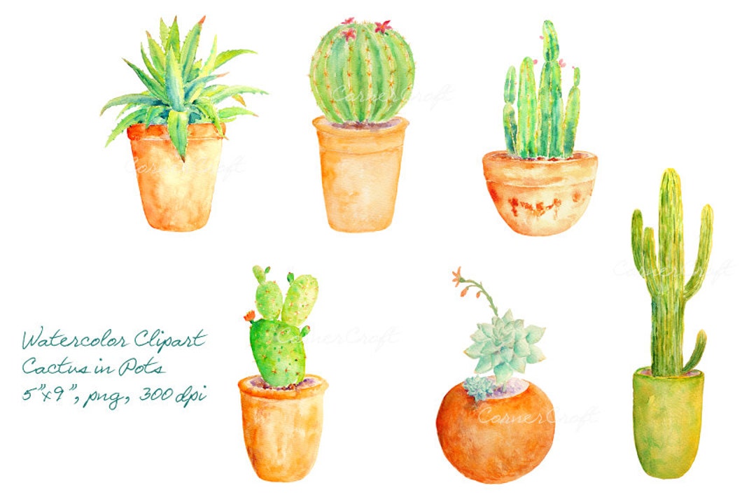 Watercolor Clipart - Hand Painted Watercolor Cactus in Terracotta Pots ...