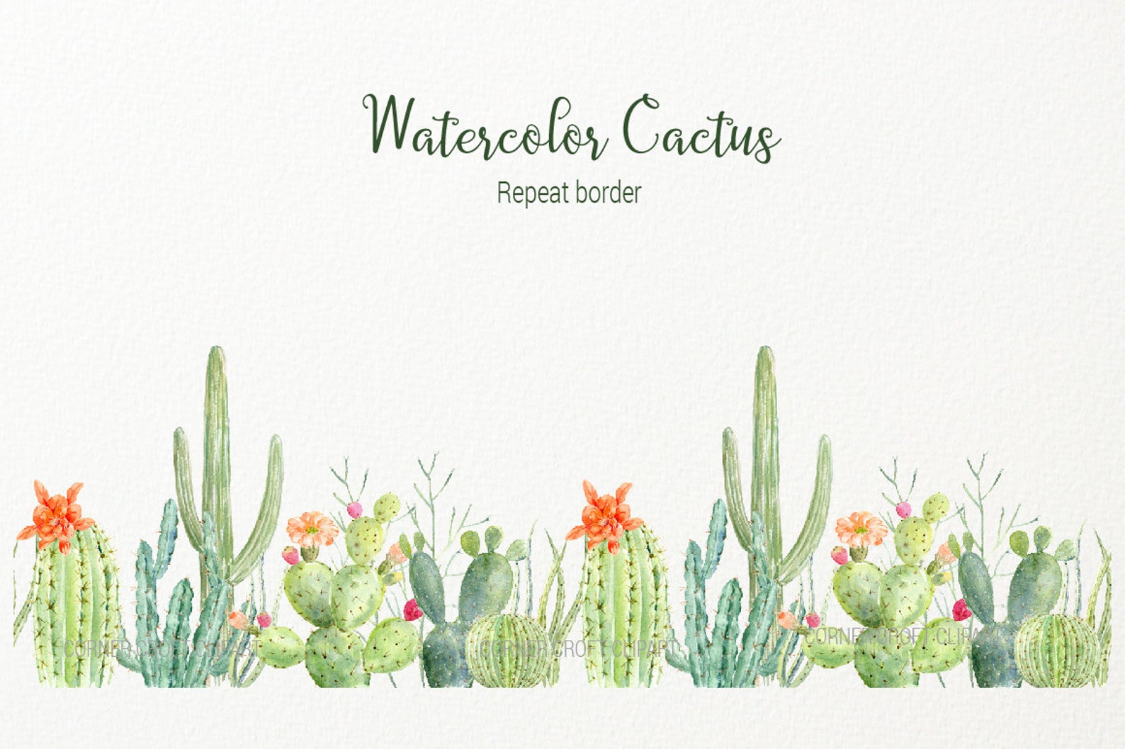 Watercolor Cactus Clipart in Botanical Illustration Style - Etsy
