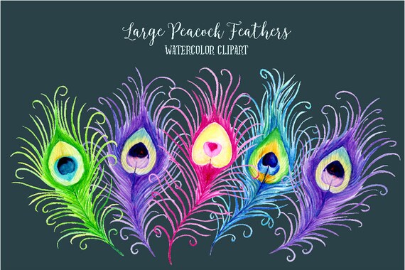 Watercolor Clipart Peacock Feathers for Instant Download | Etsy UK