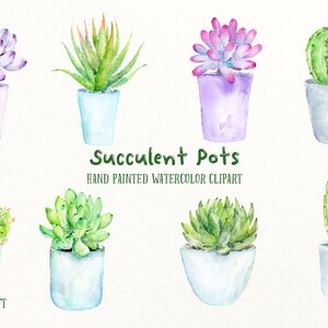 Watercolor Clipart Succulent Pots- Hand Painted Watercolor Succulent ...