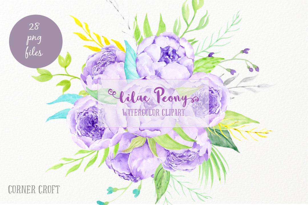 Watercolor Clipart Lilac Peony- Lilac Peony, Purple Peony, Peony ...