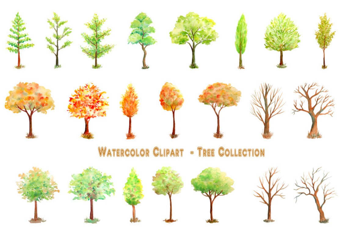 Watercolor Clipart Tree Collection for Instant Download | Etsy