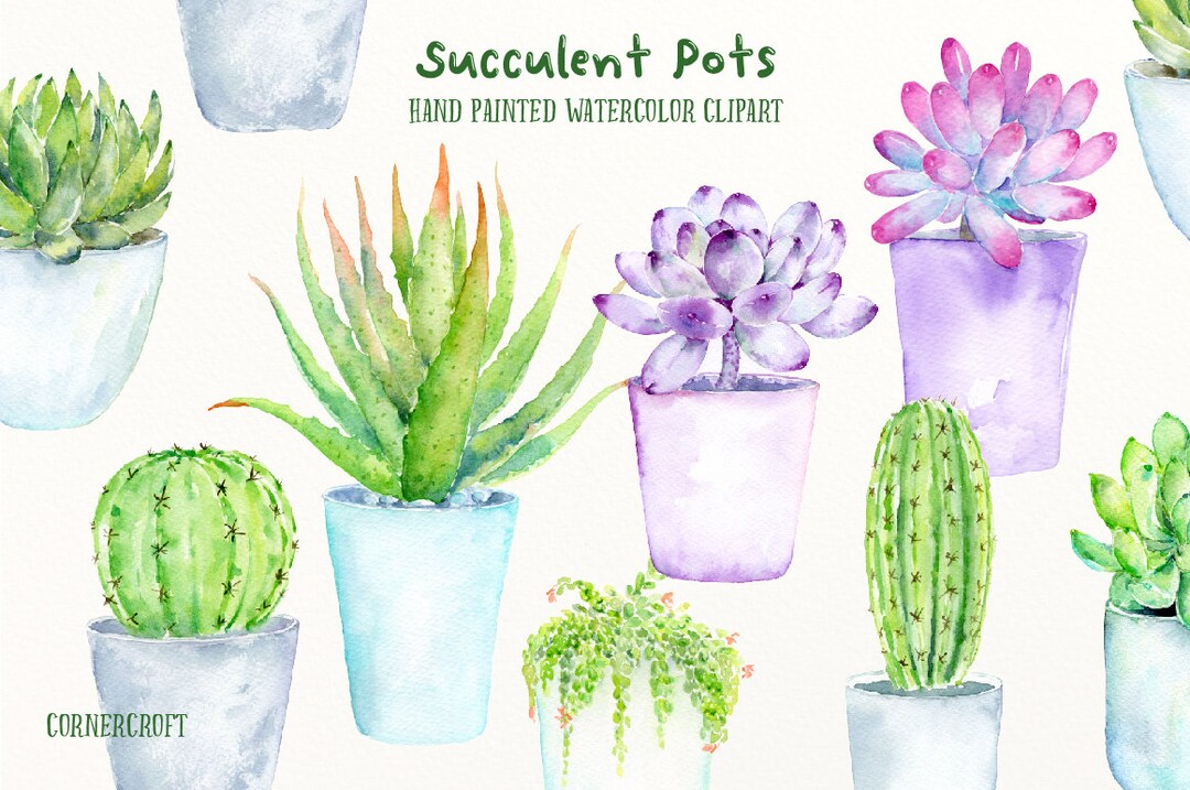 Watercolor Clipart Succulent Pots- Hand Painted Watercolor Succulent ...