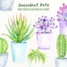 Watercolor Clipart Succulent Pots- Hand Painted Watercolor Succulent ...