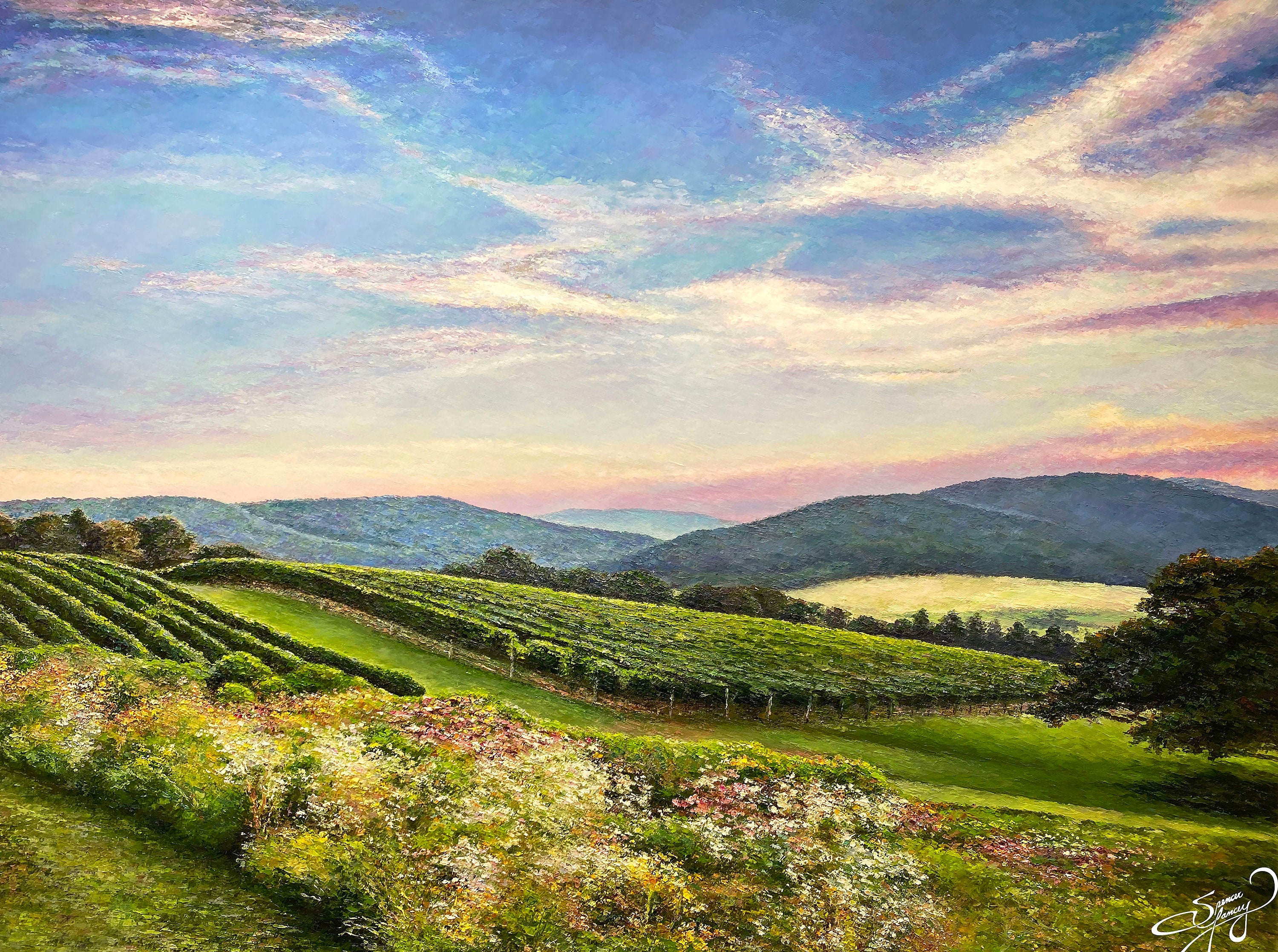 Vineyard Print-evening at Pippin Hill-wine Print-print of Original ...
