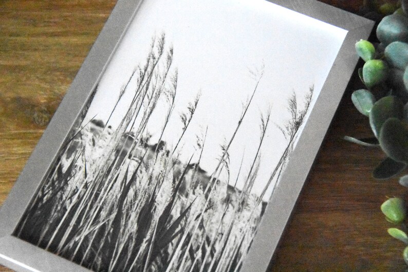 Tall Grass Art Photo/river Reeds/printable Download/4x6 5x7 8x10 11x14 ...