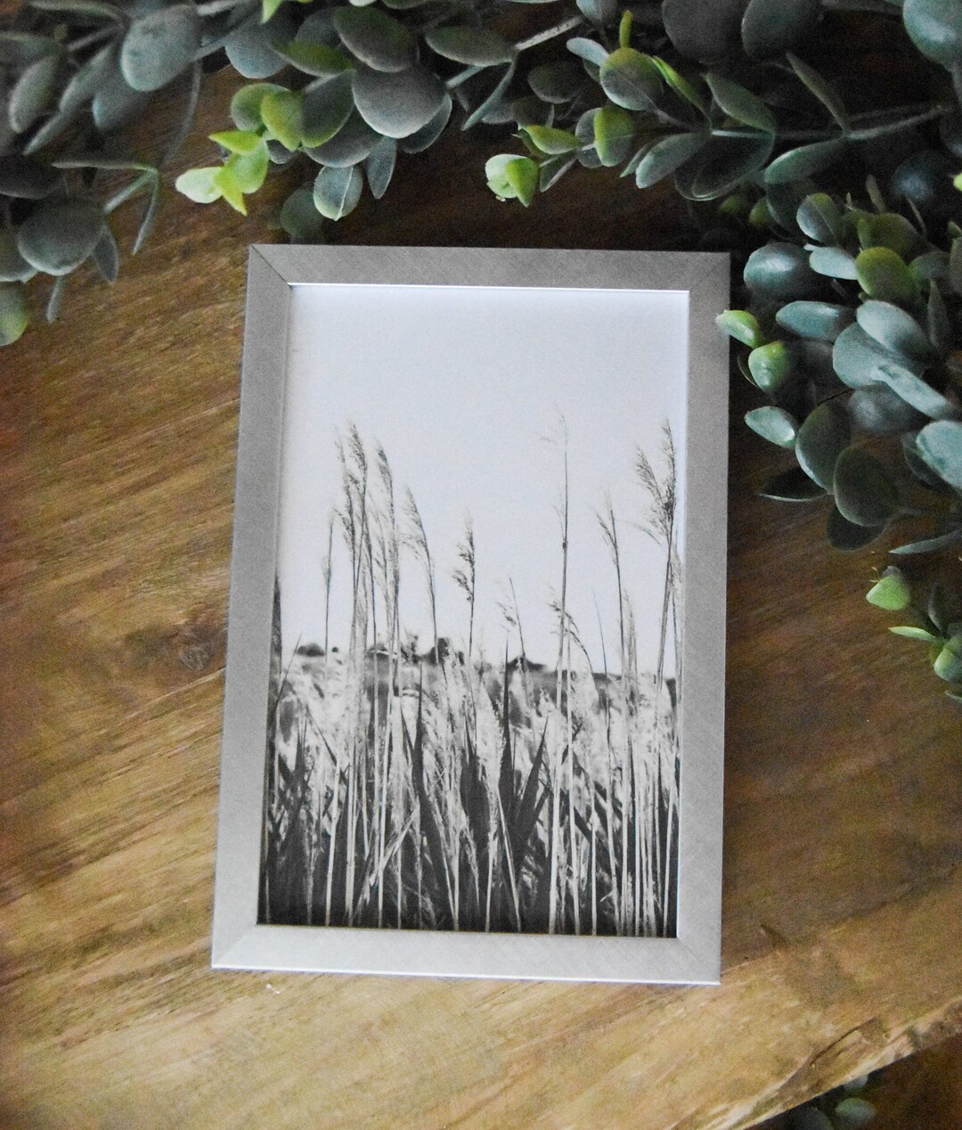 Tall Grass Art Photo/river Reeds/printable Download/4x6 5x7 8x10 11x14 ...