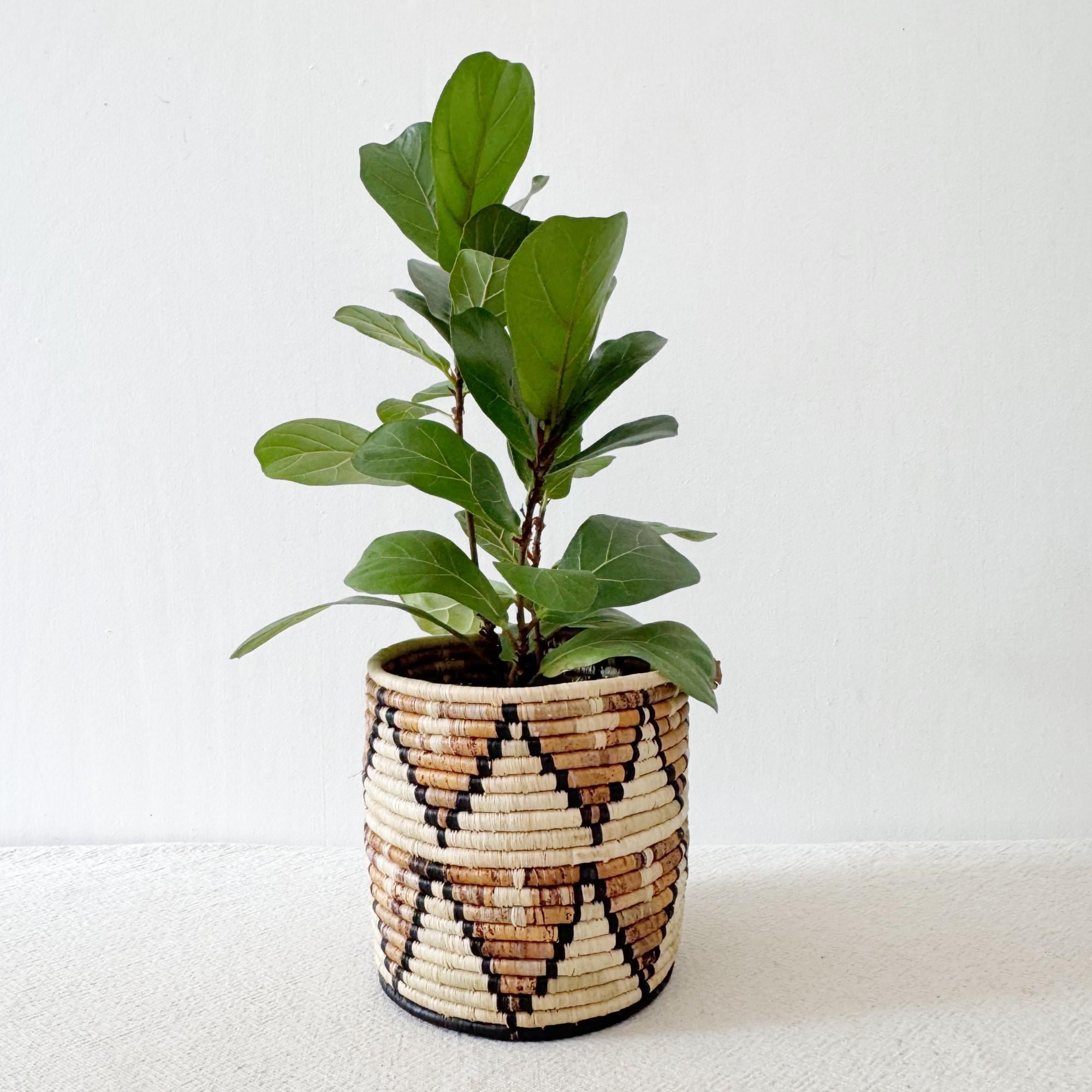 African Storage Plant Basket: Busisi // Rwanda Kiondo Basket // Sisal ...