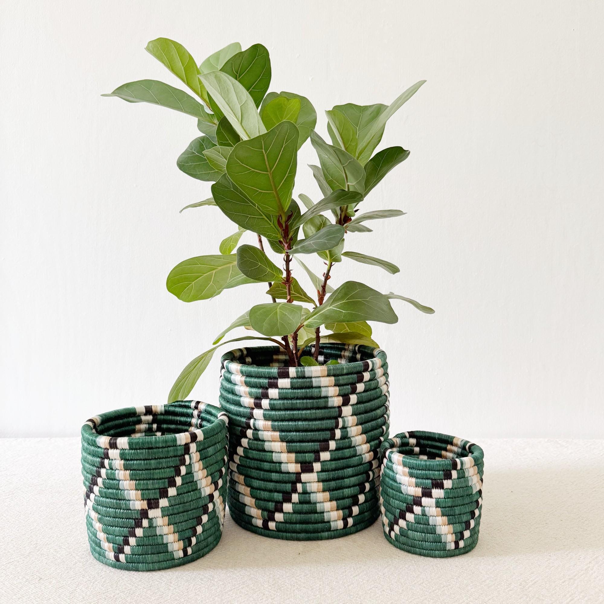 African Storage Plant Basket: Kasugu // Rwanda Kiondo Basket // Sisal ...