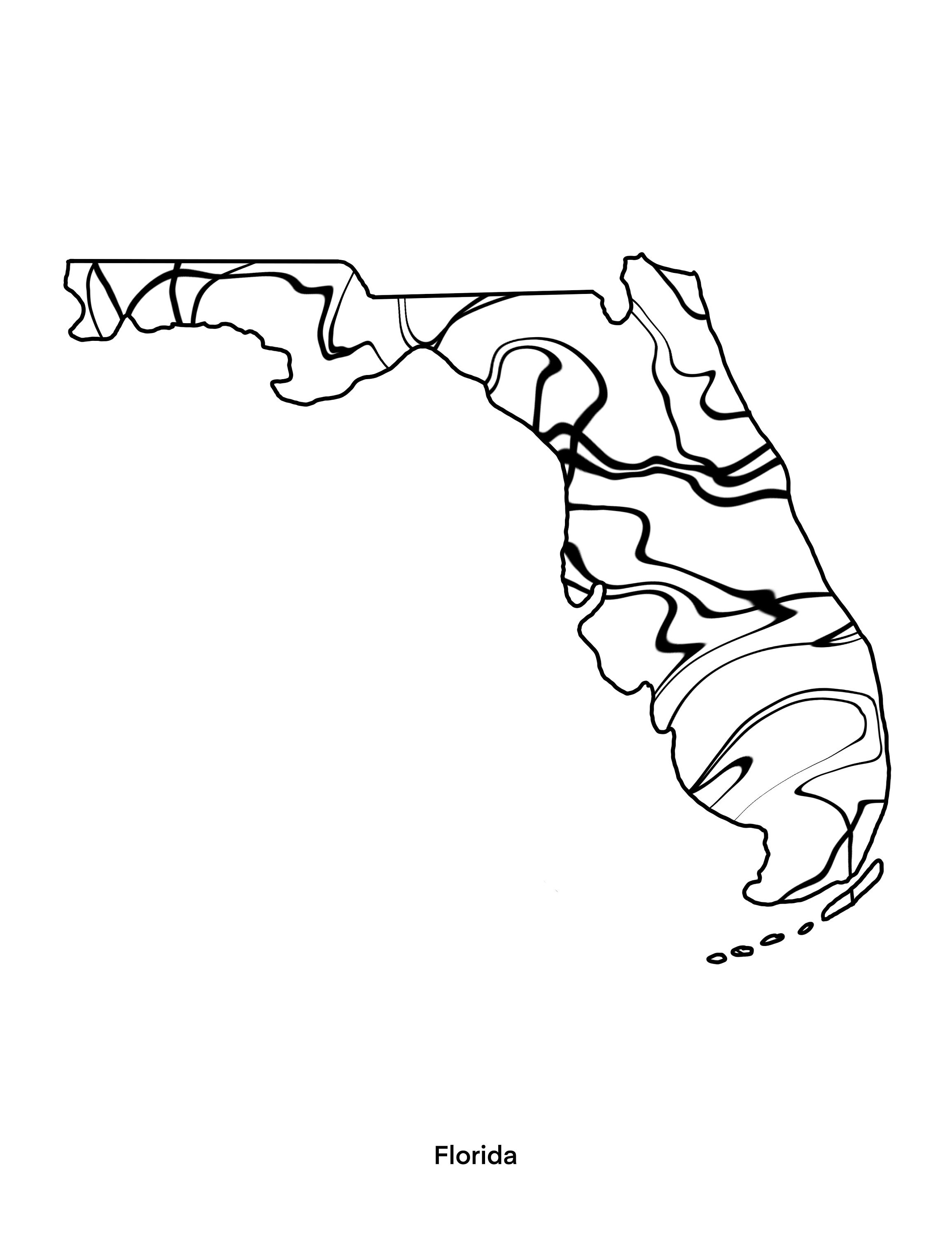 Florida Printable Coloring Page - Etsy UK