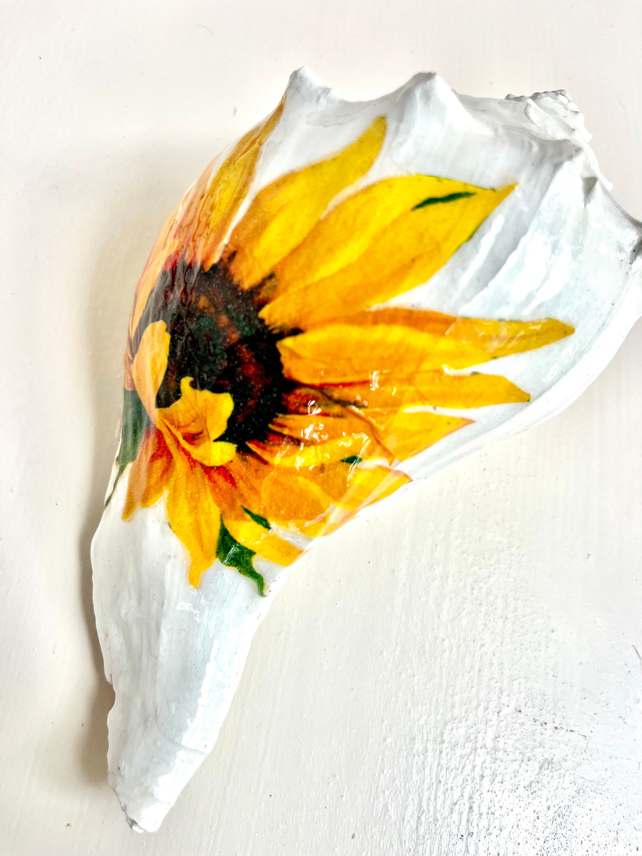 Cape Cod Atlantic Conch / Whelk Shell Hand Decorated by a - Etsy