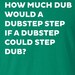 How Much Dub Would a Dubstep Step If Could Printed T-shirt Tee Dj Music ...