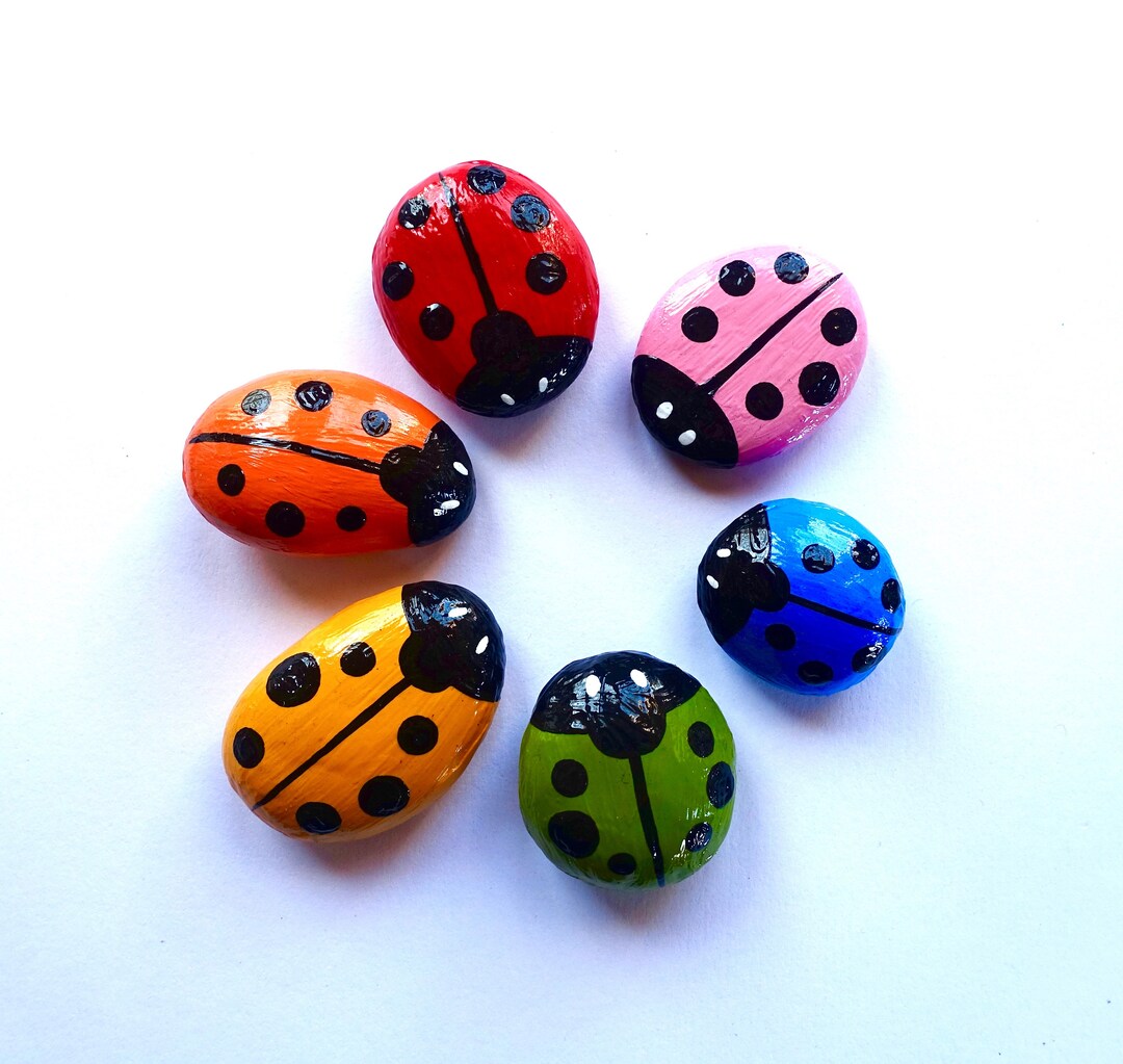 Rainbow Ladybird Stones - READY TO SHIP - Etsy