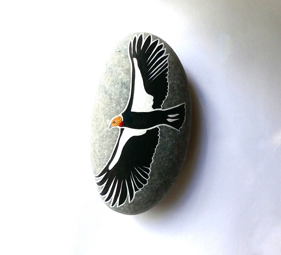 Painted Condor Stone - MADE TO ORDER - Etsy