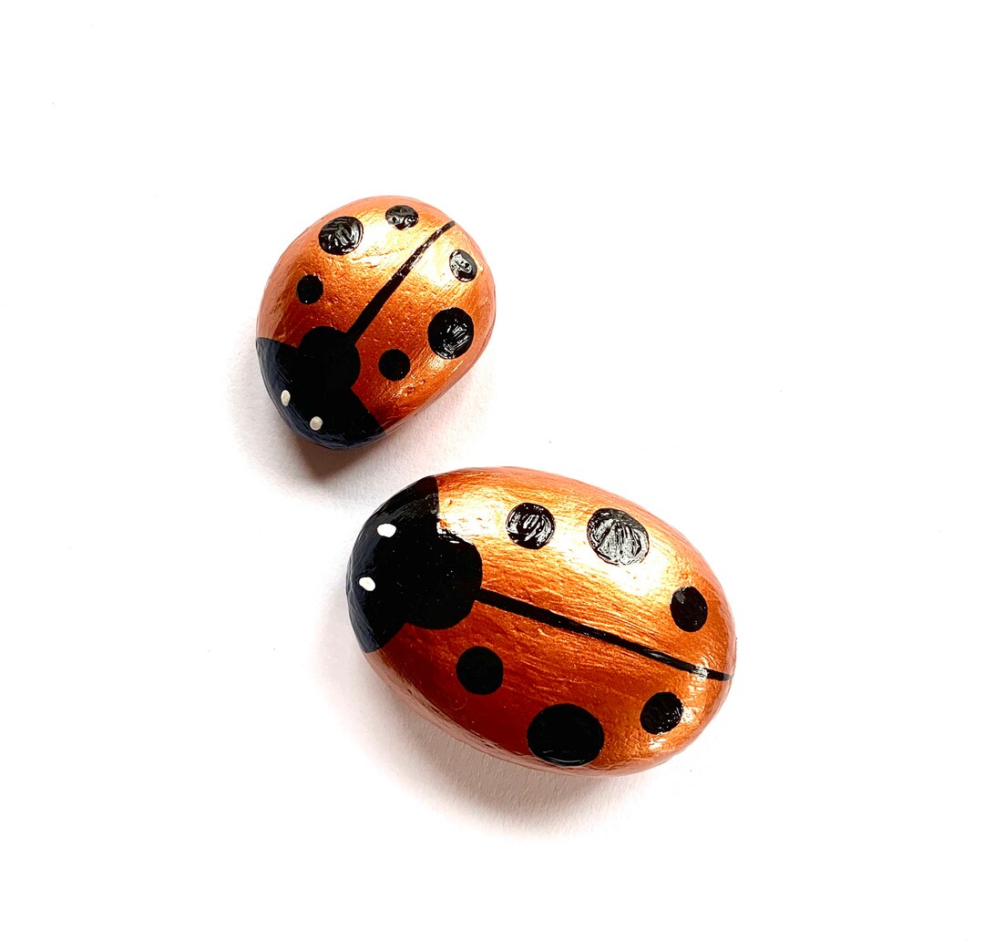 Copper Ladybird Stones MADE TO ORDER - Etsy