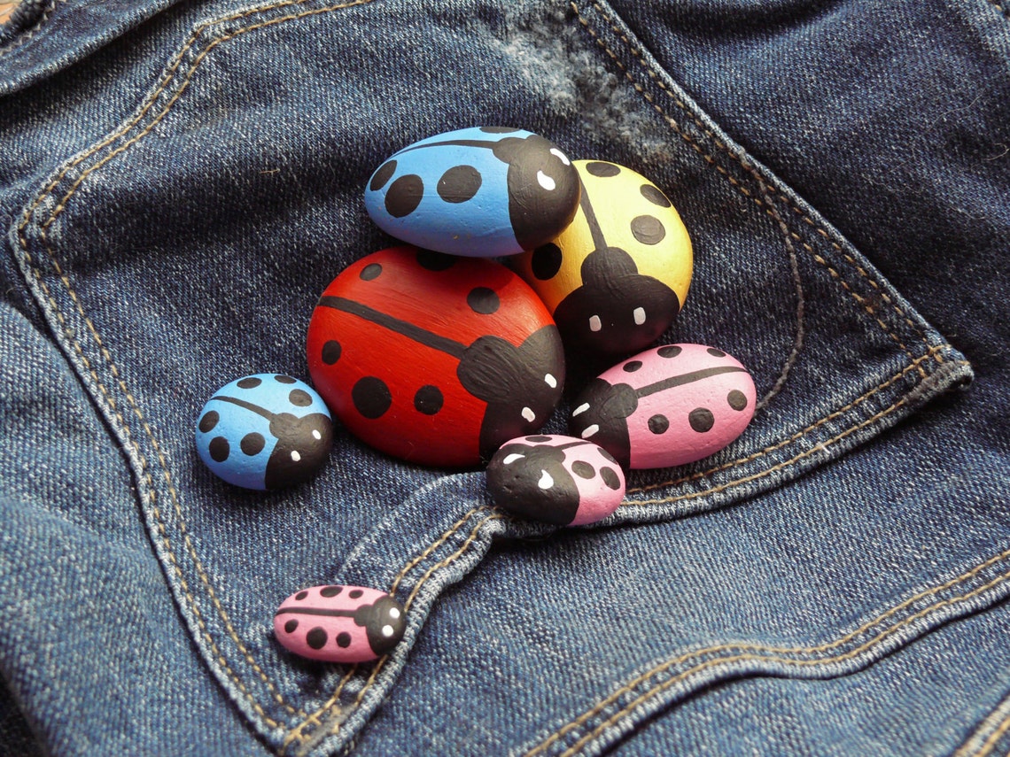Rainbow Ladybird Stones READY TO SHIP - Etsy UK