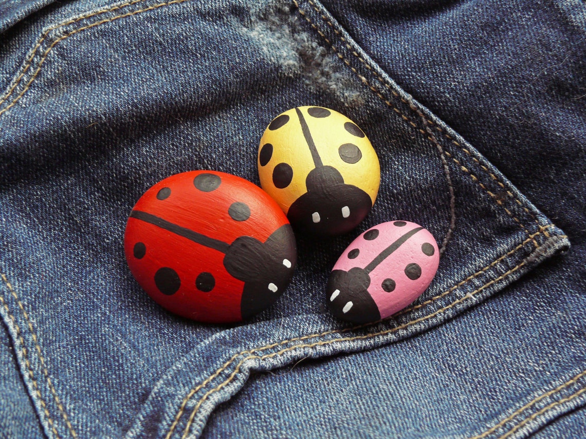Rainbow Ladybird Stones READY TO SHIP - Etsy UK