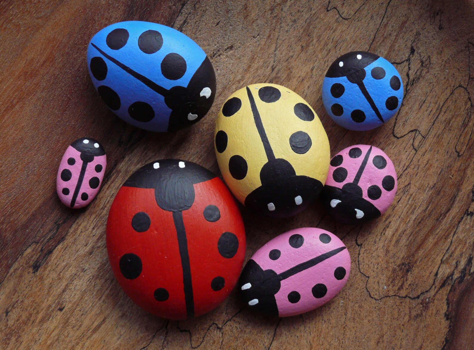 Handpainted Ladybird Stones MADE TO ORDER - Etsy UK