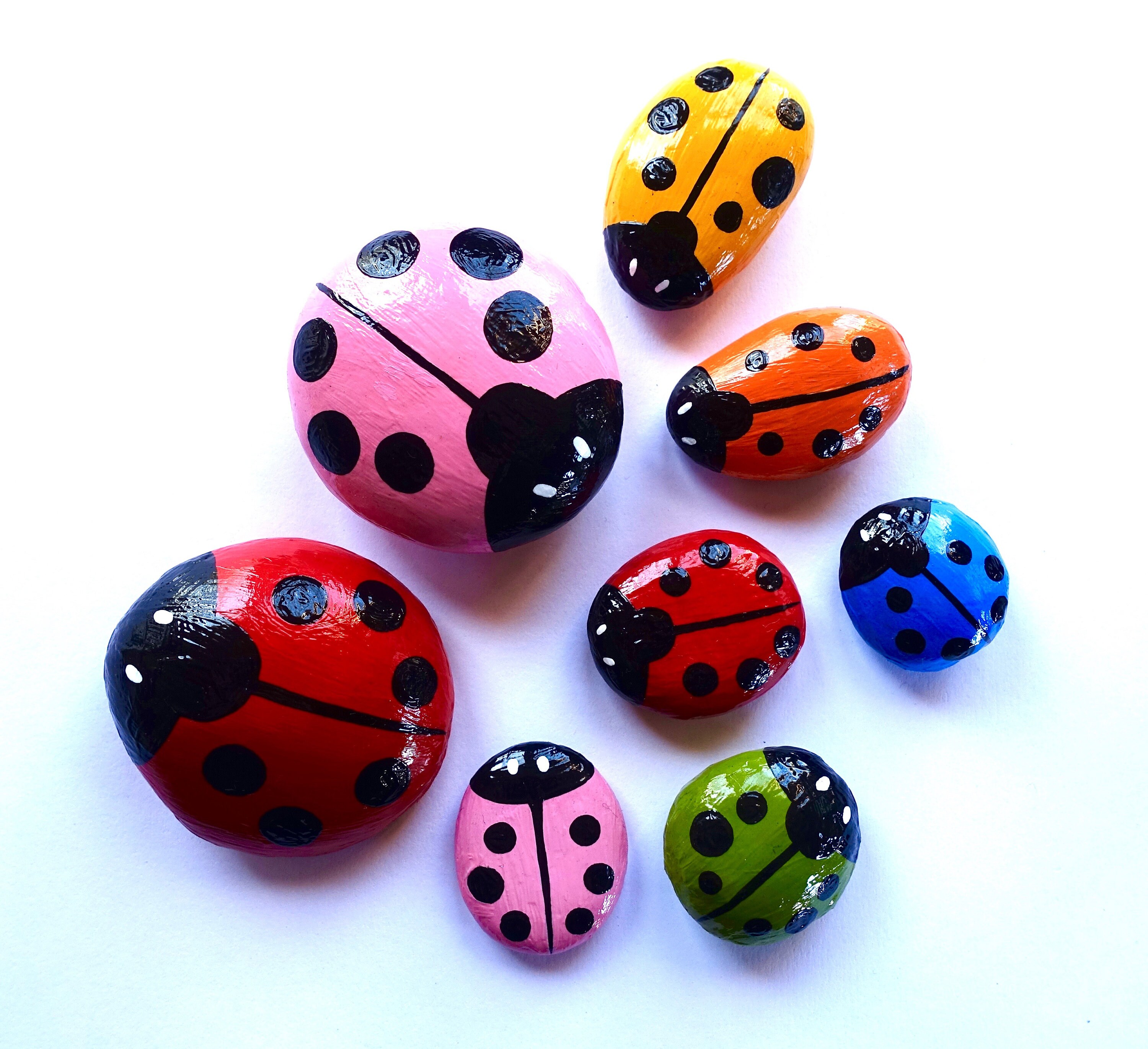 Handpainted Ladybird Stones MADE TO ORDER - Etsy UK