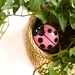 Pink Ladybird Stone MADE TO ORDER - Etsy