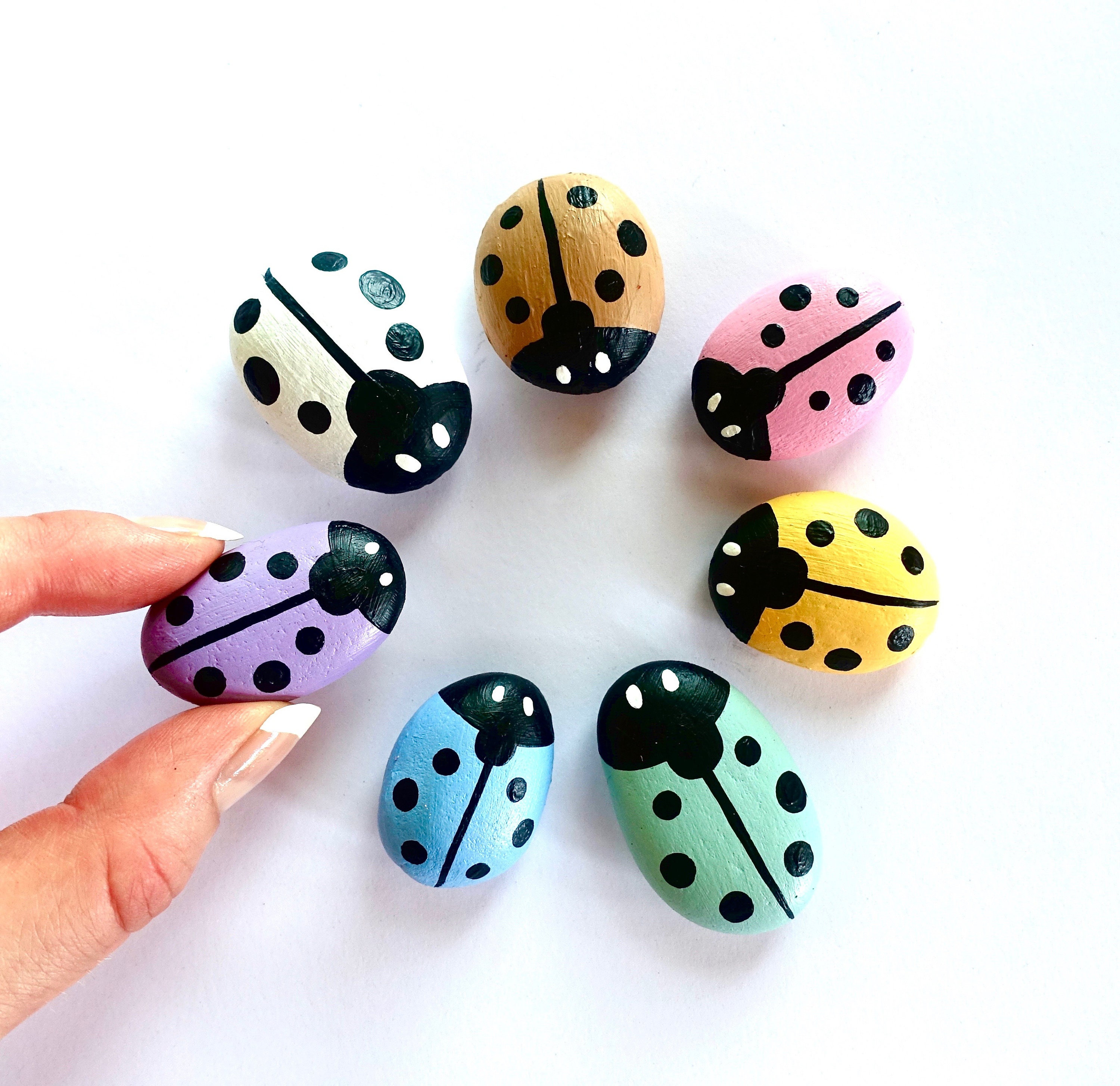 Handpainted Ladybird Stones MADE TO ORDER - Etsy UK