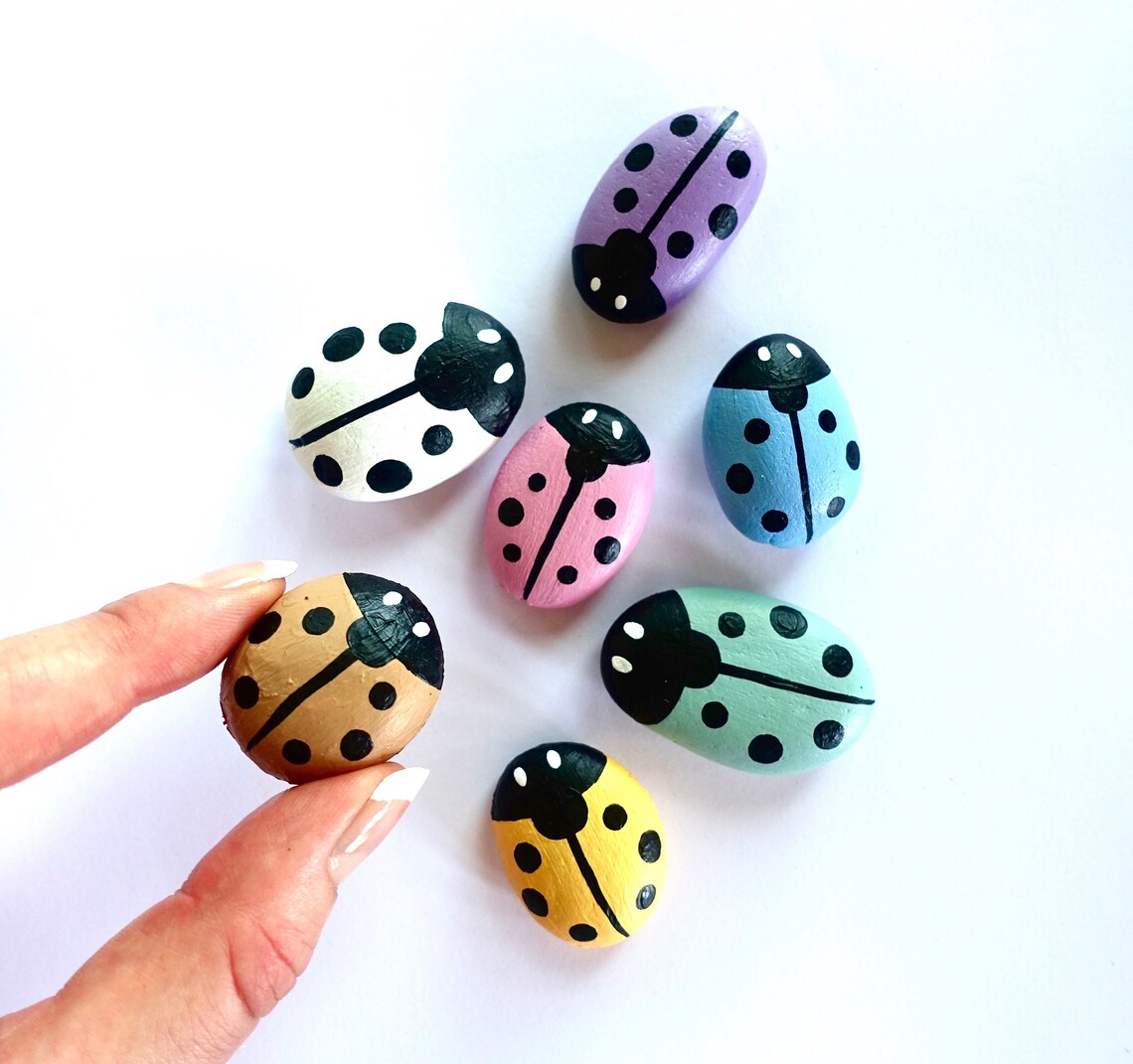 Rainbow Ladybird Stones READY TO SHIP - Etsy UK