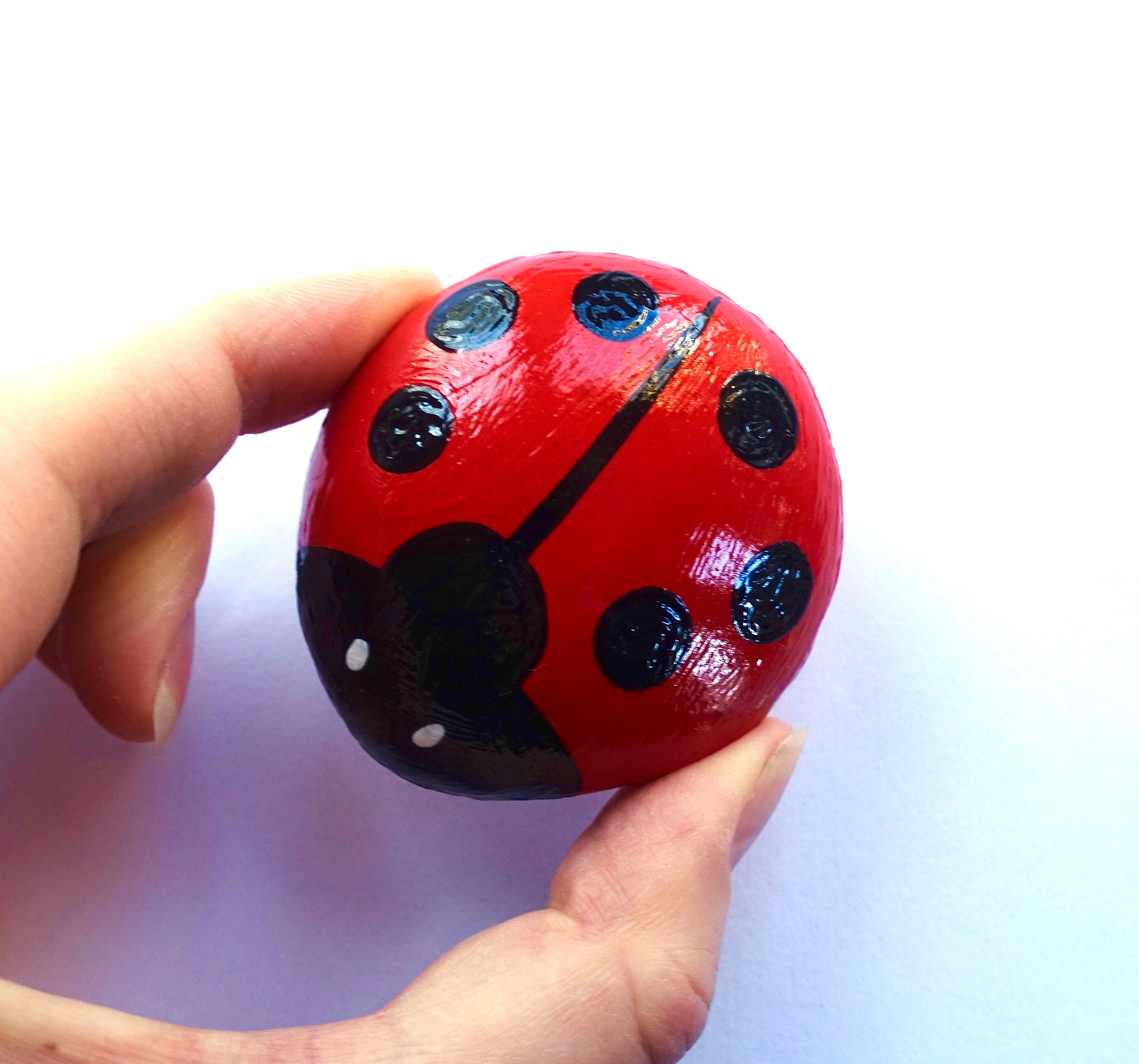 Handpainted Ladybird Stones MADE TO ORDER - Etsy UK