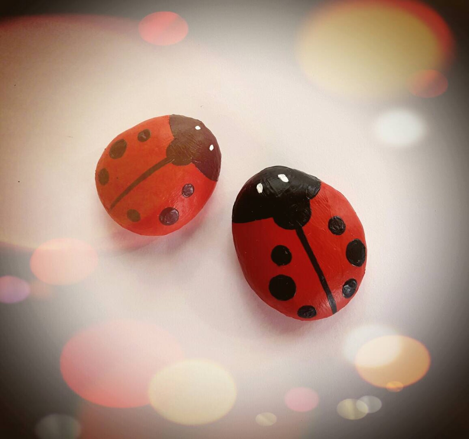 Handpainted Ladybird Stones MADE TO ORDER - Etsy UK