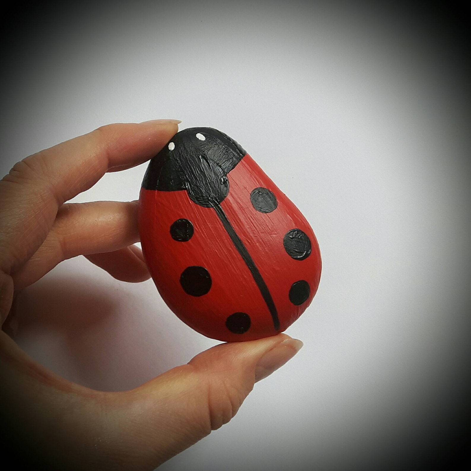 Handpainted Ladybird Stones MADE TO ORDER - Etsy UK