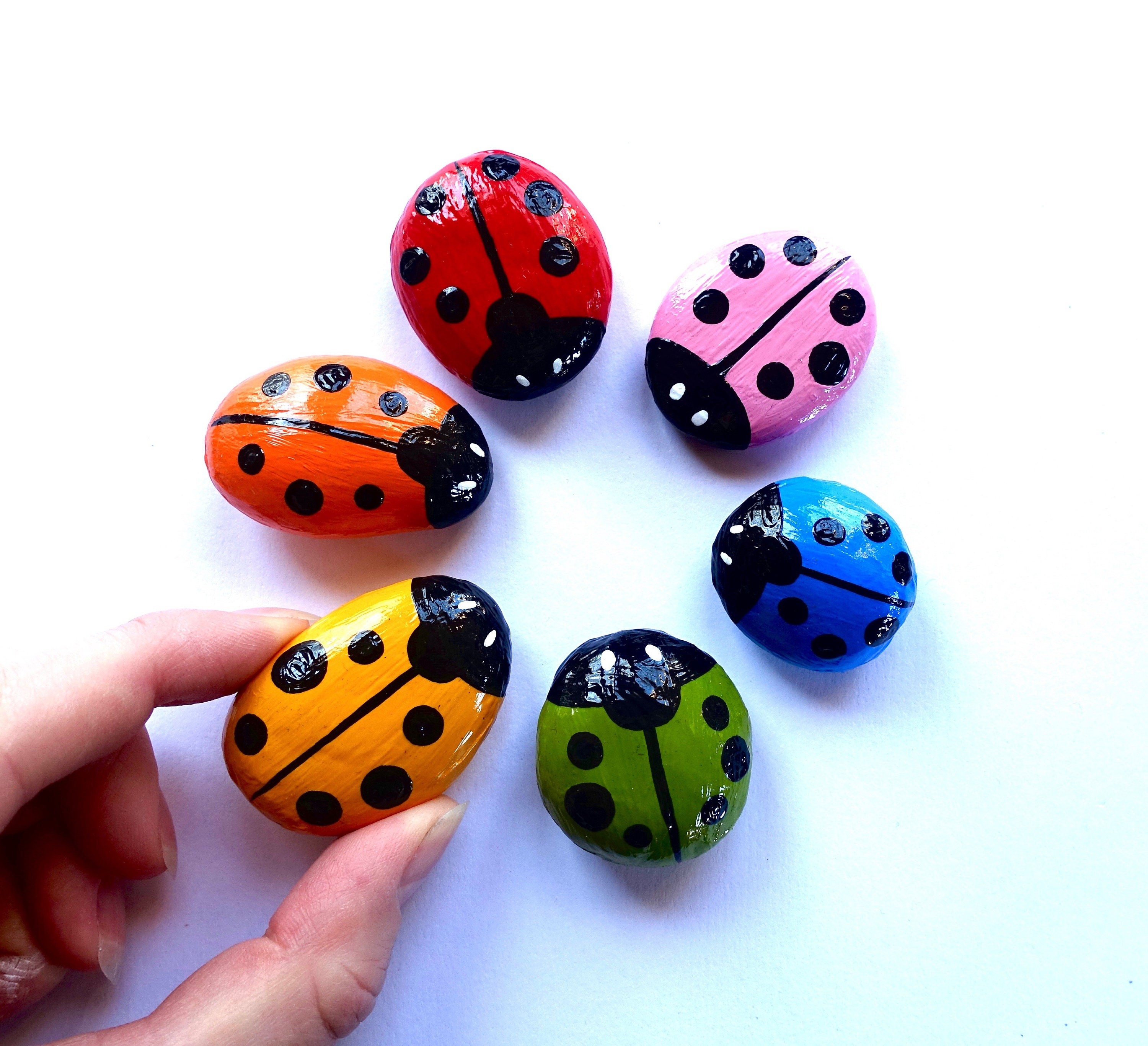 Rainbow Ladybird Stones READY TO SHIP - Etsy UK
