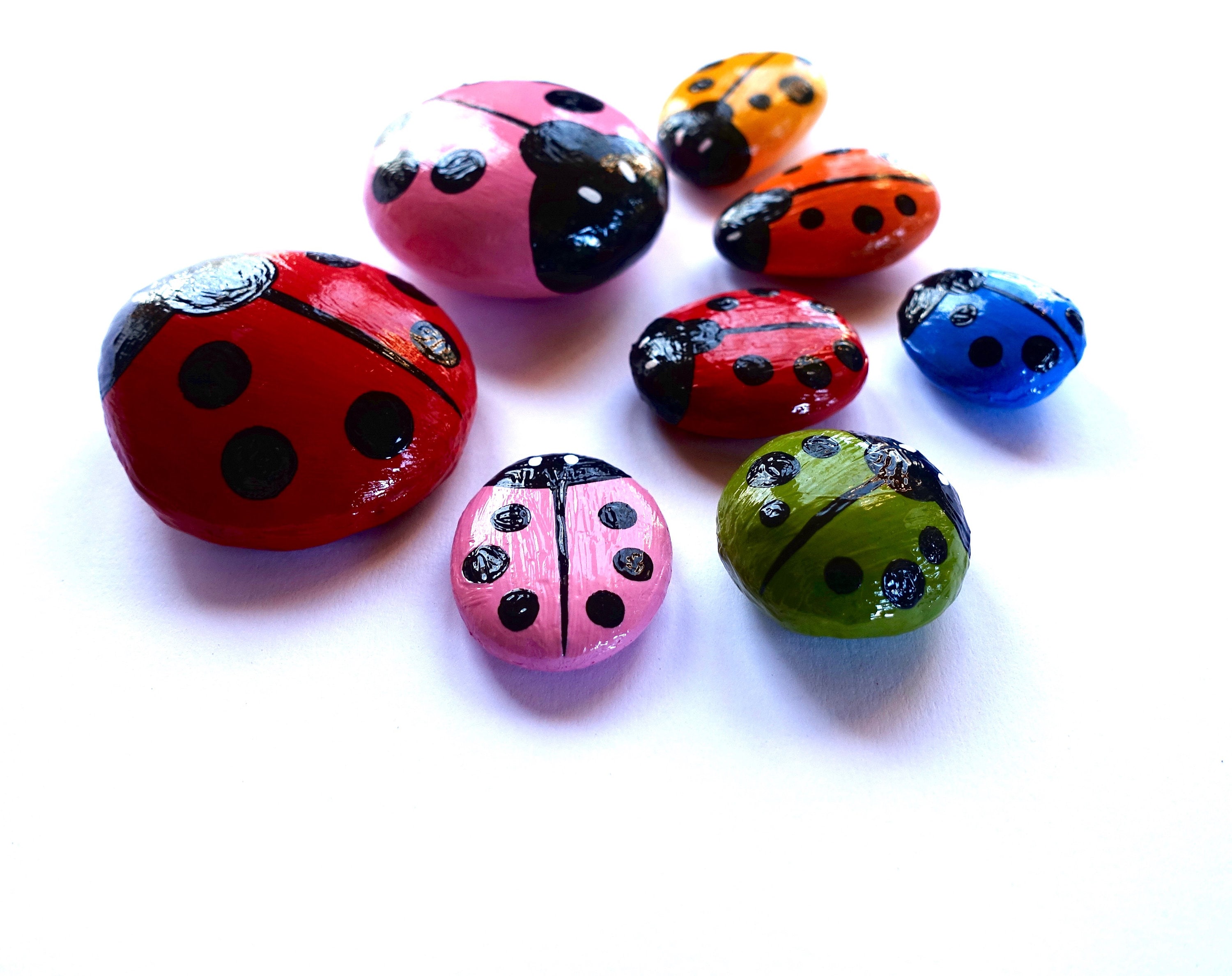 Handpainted Ladybird Stones MADE TO ORDER - Etsy UK