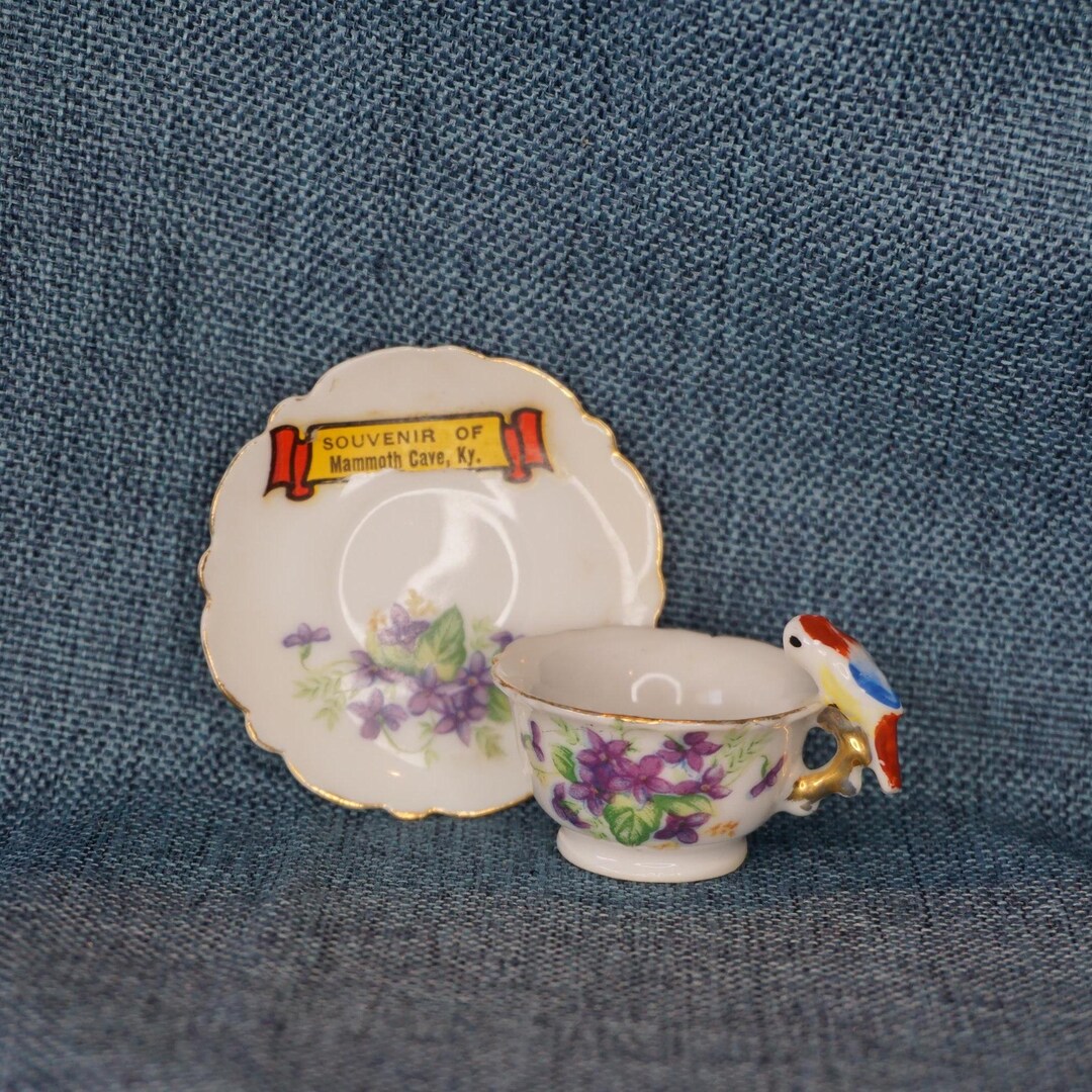 Mammoth Cave Kentucky Souvenir Teacup and Saucer Set. Japan Bone China ...
