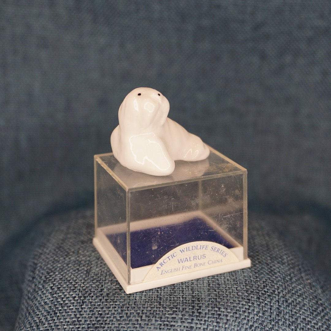 Miniature White Walrus Figurine. Fine English Bone China Arctic Animal ...