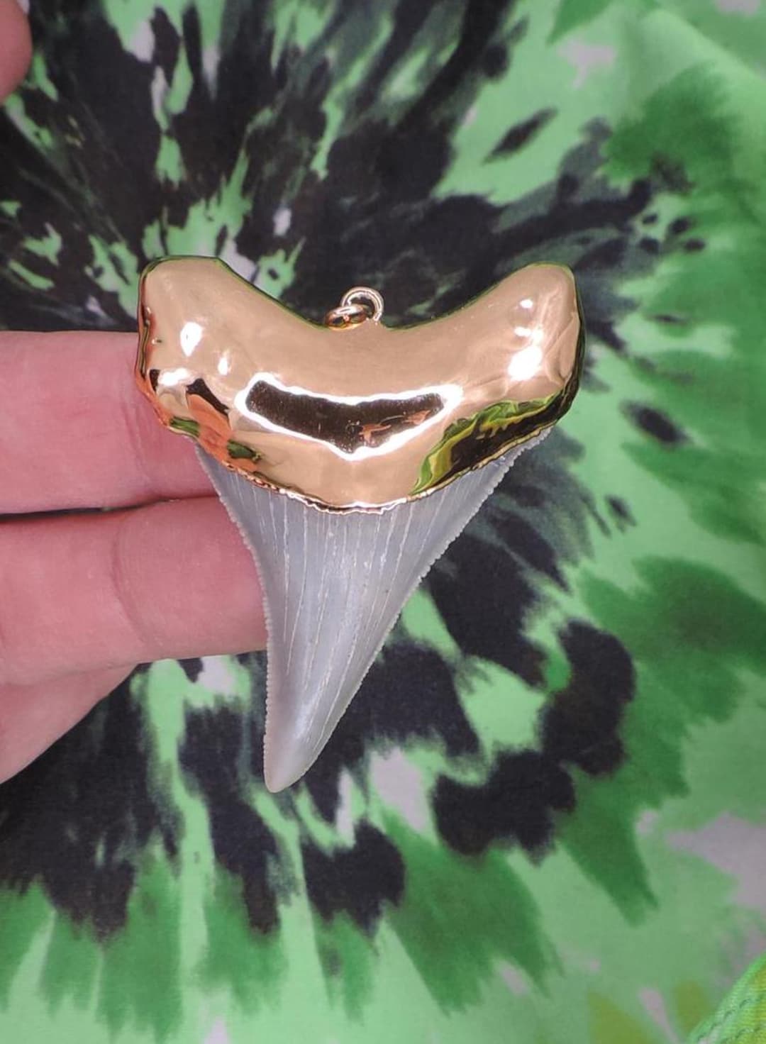 Megalodon Sharks Tooth Pendant BEAUTY! 18K Gold Plated - Etsy