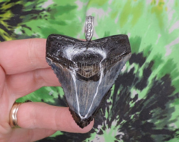 Megalodon Sharks Tooth Pendant BEAUTY Fossil Tooth Sharks Teeth Jewelry ...