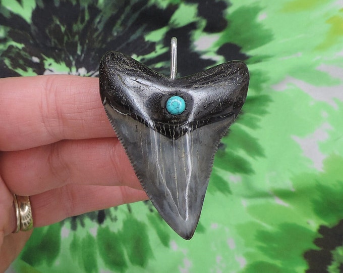 Megalodon Sharks Tooth Pendant BEAUTY Fossil Tooth Sharks Teeth Jewelry ...