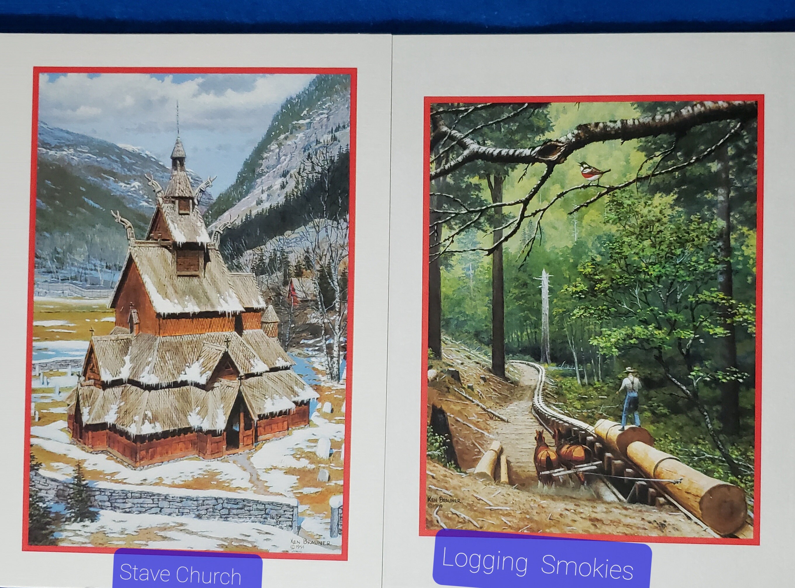 1988-1994 Ken Brauner Logging Note Cards Blank Unused 5x7 Crafting ...