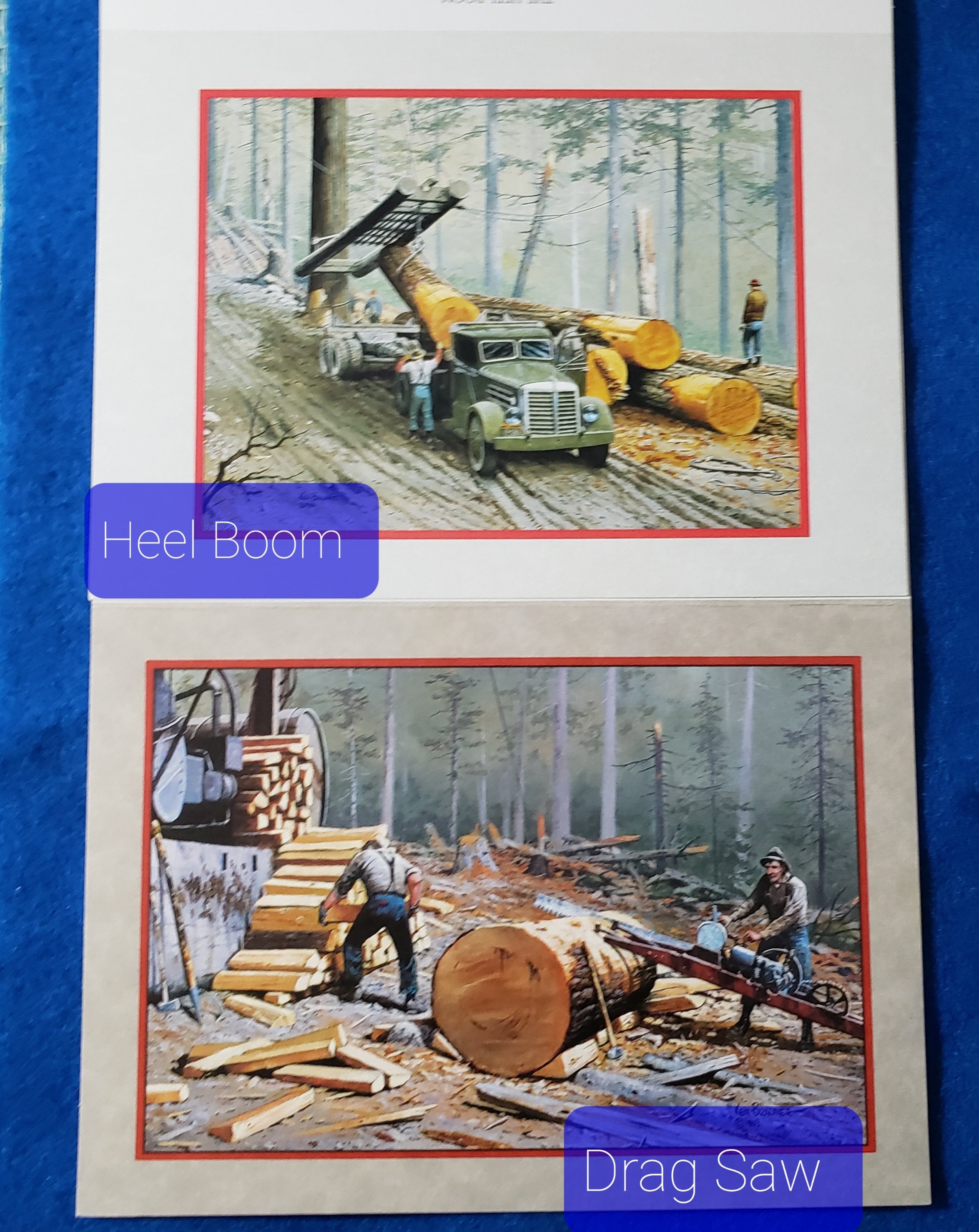 1988-1994 Ken Brauner Logging Note Cards Blank Unused 5x7 Crafting ...