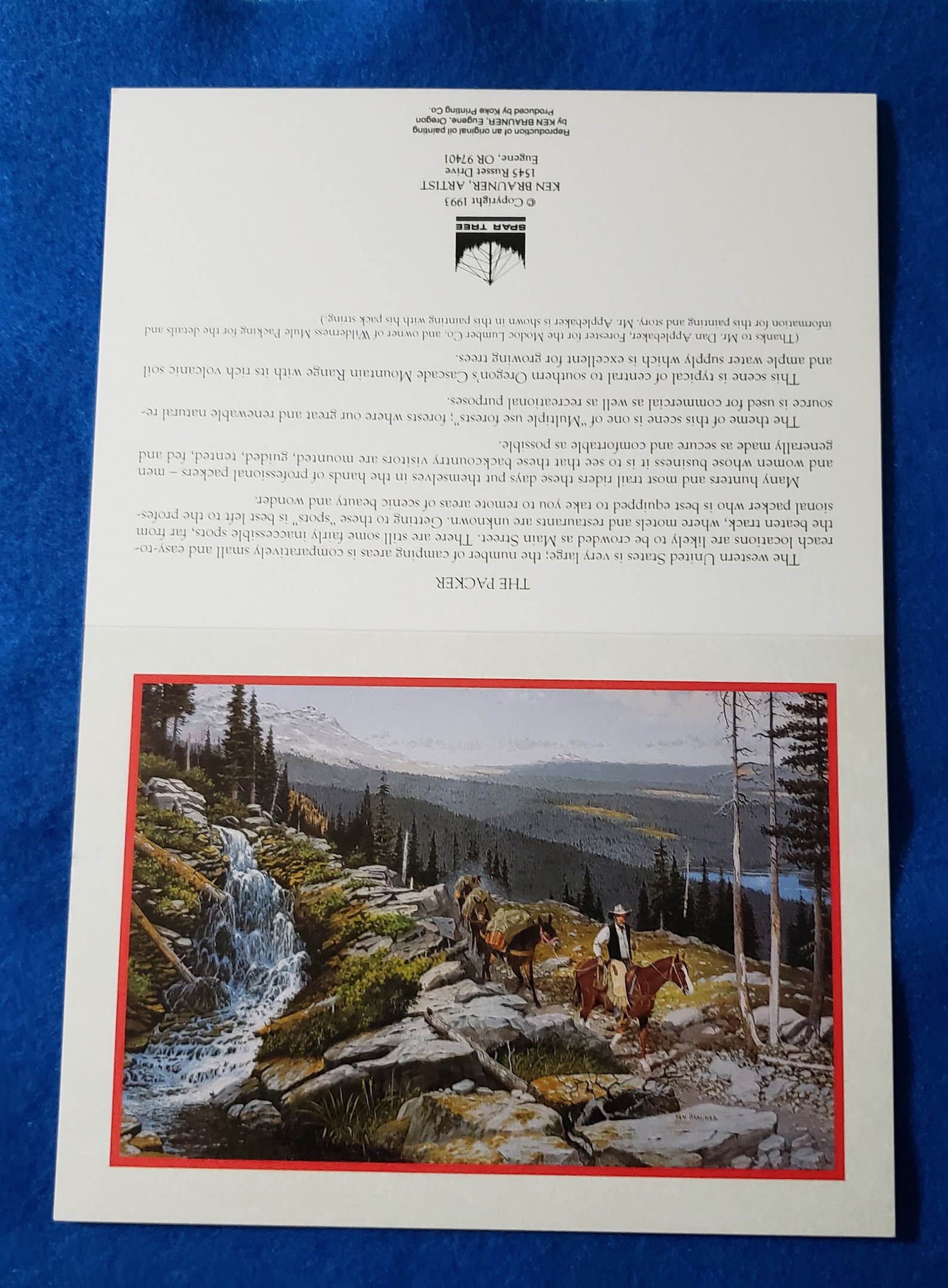 1988-1994 Ken Brauner Logging Note Cards Blank Unused 5x7 Crafting ...