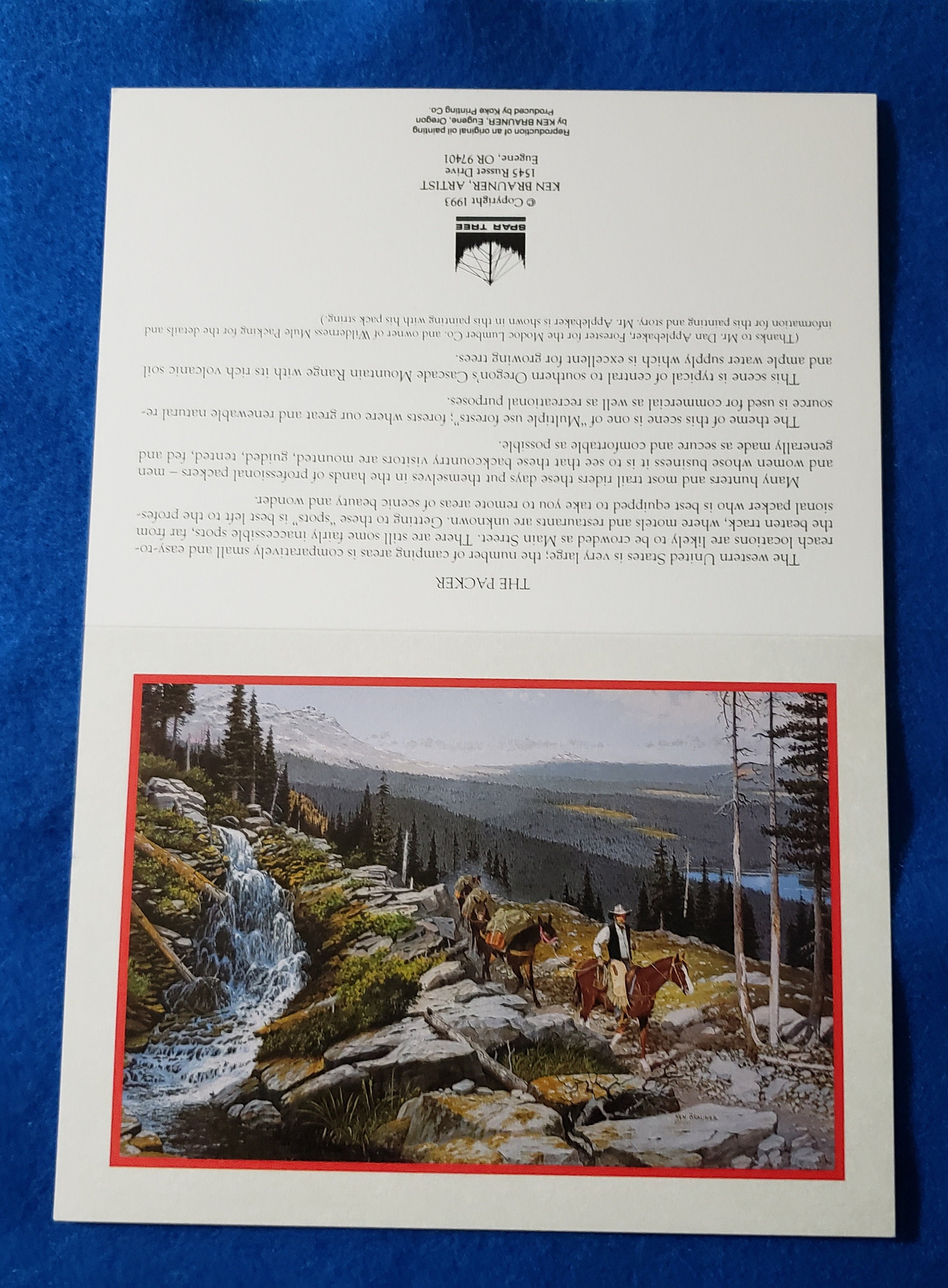 1988-1994 Ken Brauner Logging Note Cards Blank Unused 5x7 Crafting ...