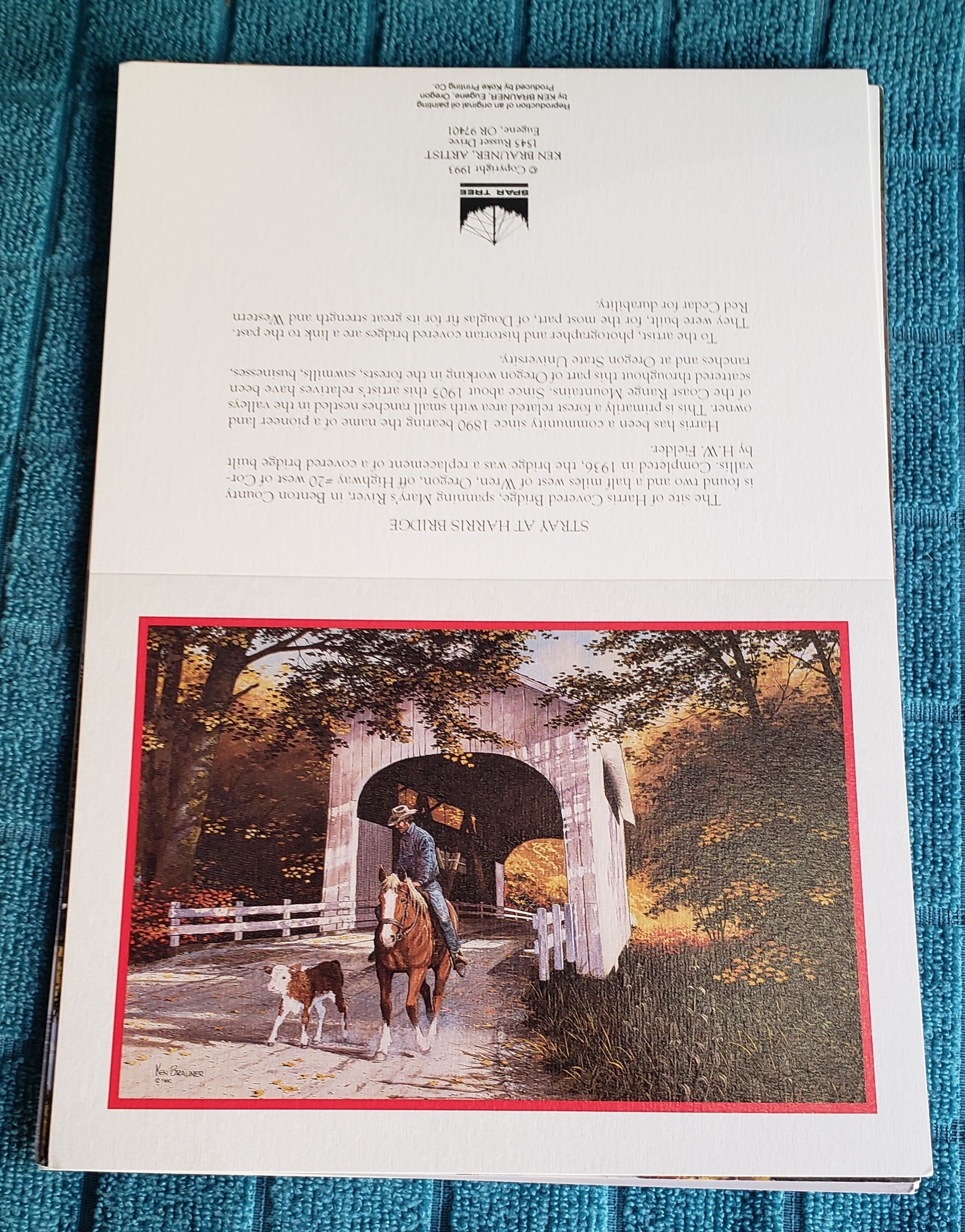 1988-1994 Ken Brauner Logging Note Cards Blank Unused 5x7 Crafting ...