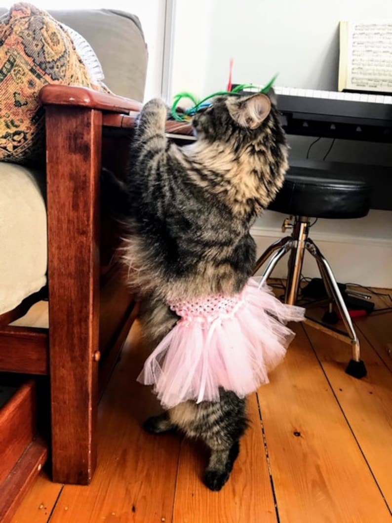 Cat Tutu, Cat Tutu Skirt, Cat Ballerina Tutu, Cat Costume in Pale Pink ...