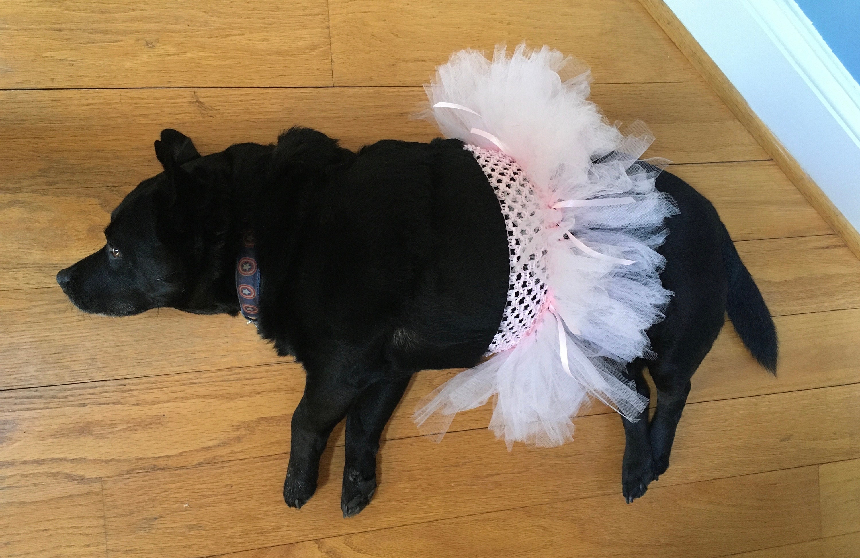 Dog Tutu - Etsy